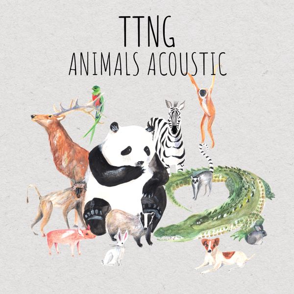 TTNG reunite with original vocalist for ‘Animals’ acoustic LP & 10th ...