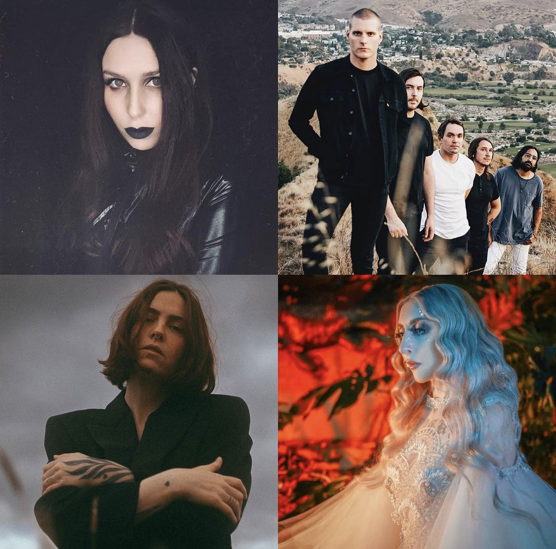 FOUR OF OUR ARTISTS HEADLINERS OF DARK MOFO FESTIVAL IN TASMANIA
