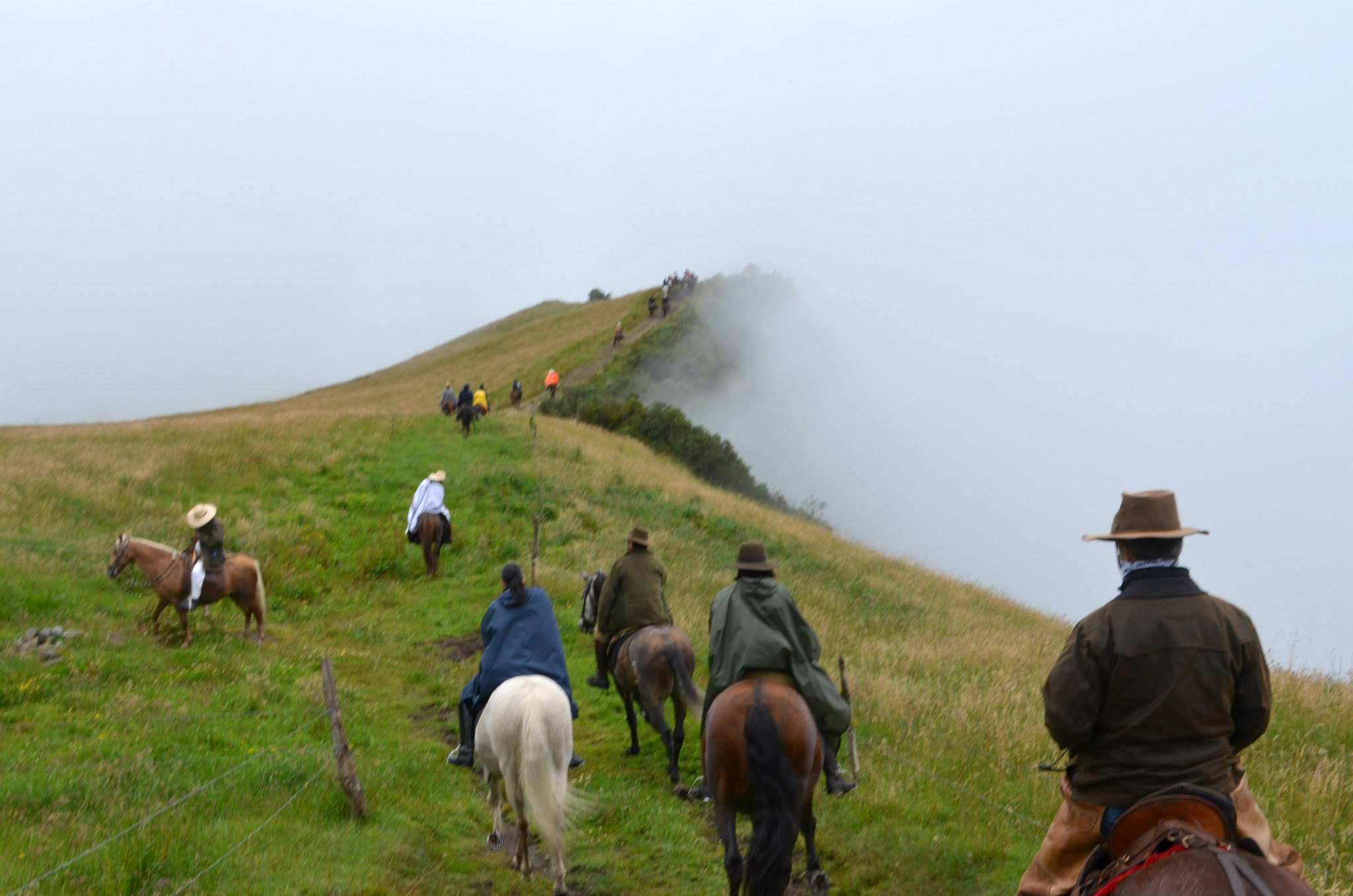 Crescent Moon Ranch Peruvian Gaited Horses