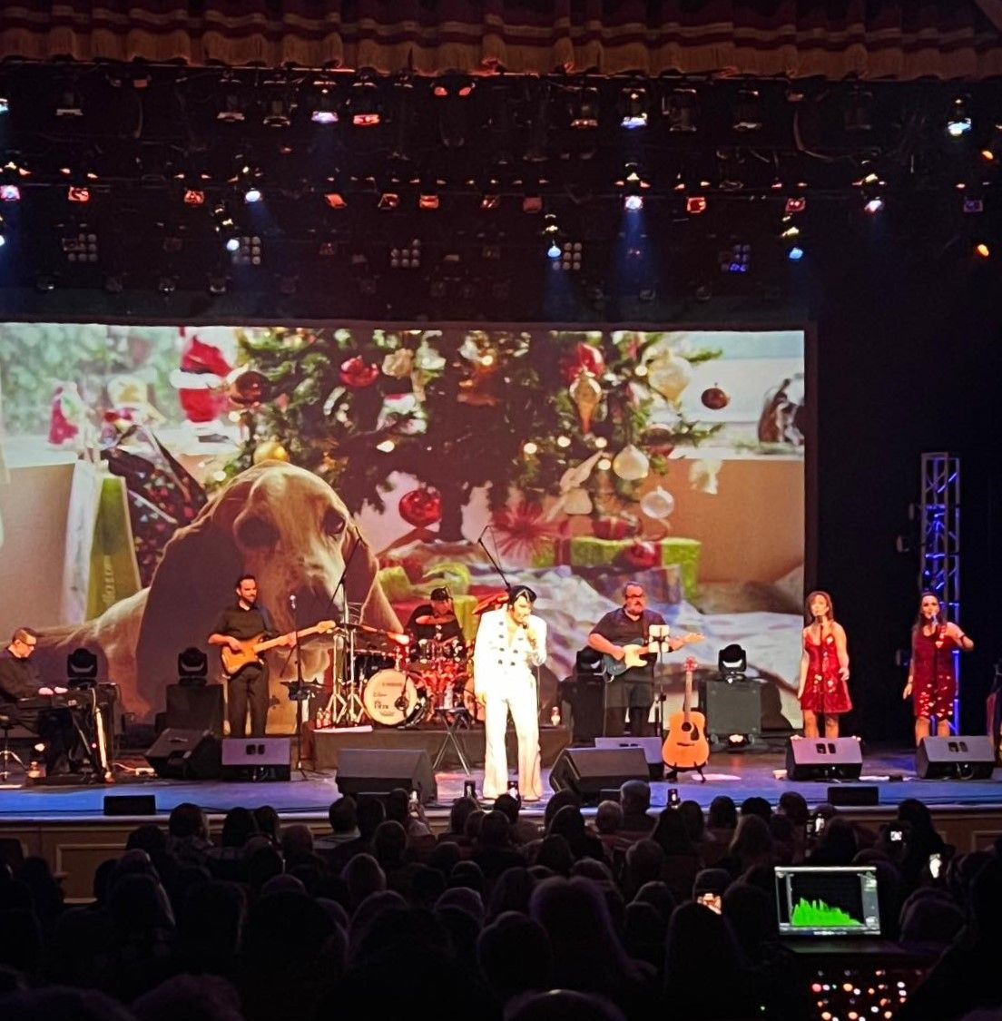 Jesse Garron's Tribute to Elvis - Photos/Videos