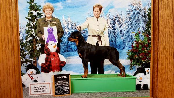 Templinhaus Rottweilers