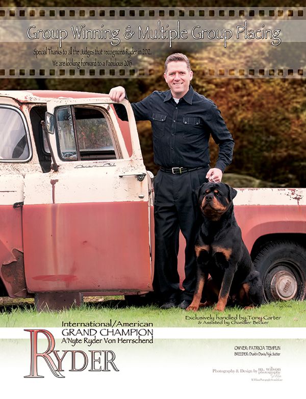 Templinhaus Rottweilers