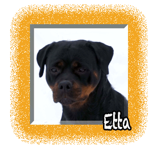 Templinhaus Rottweilers - Females