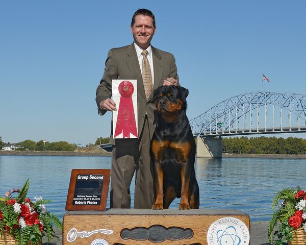 Templinhaus Rottweilers
