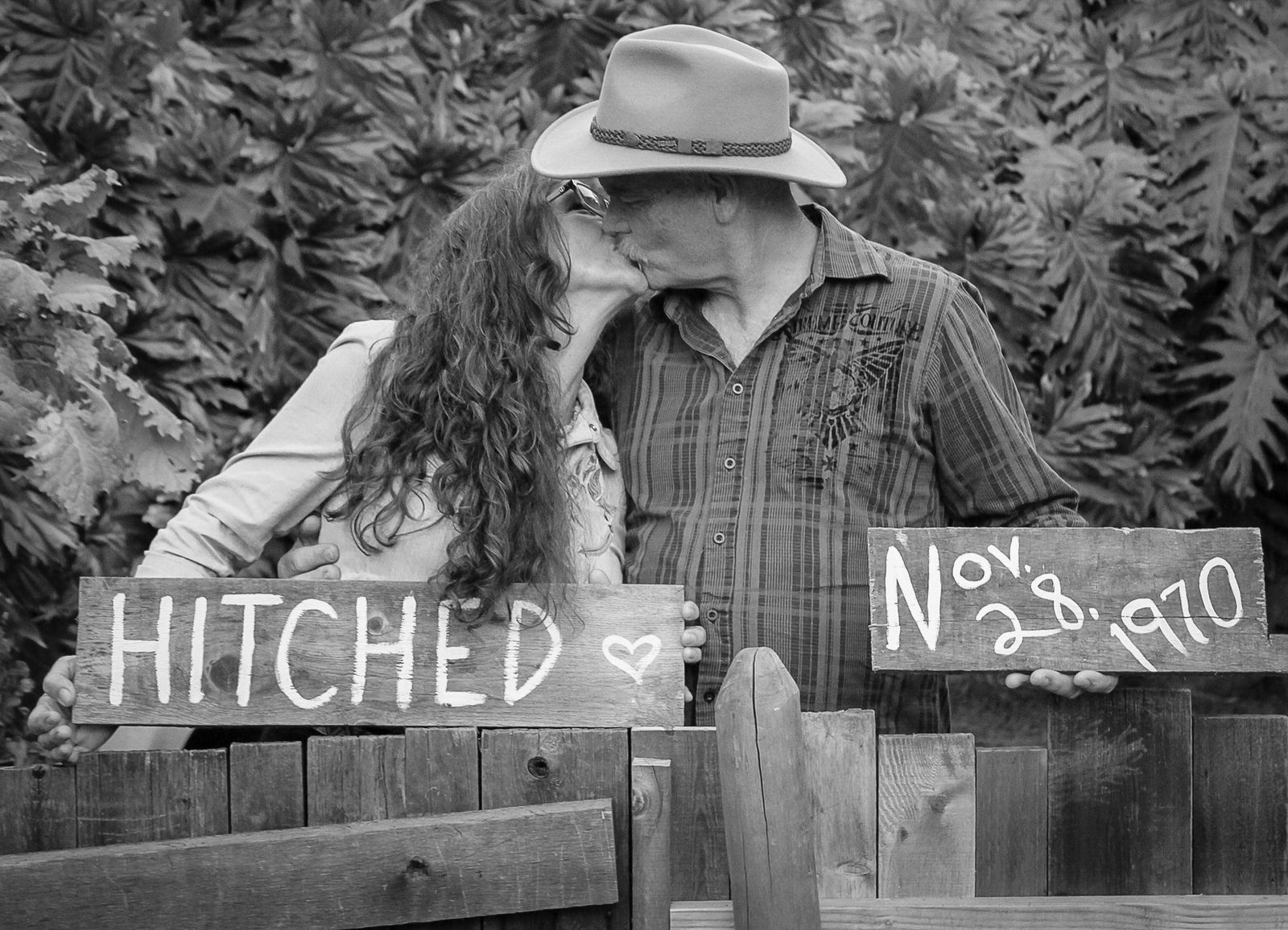 Dave Toland - Photos