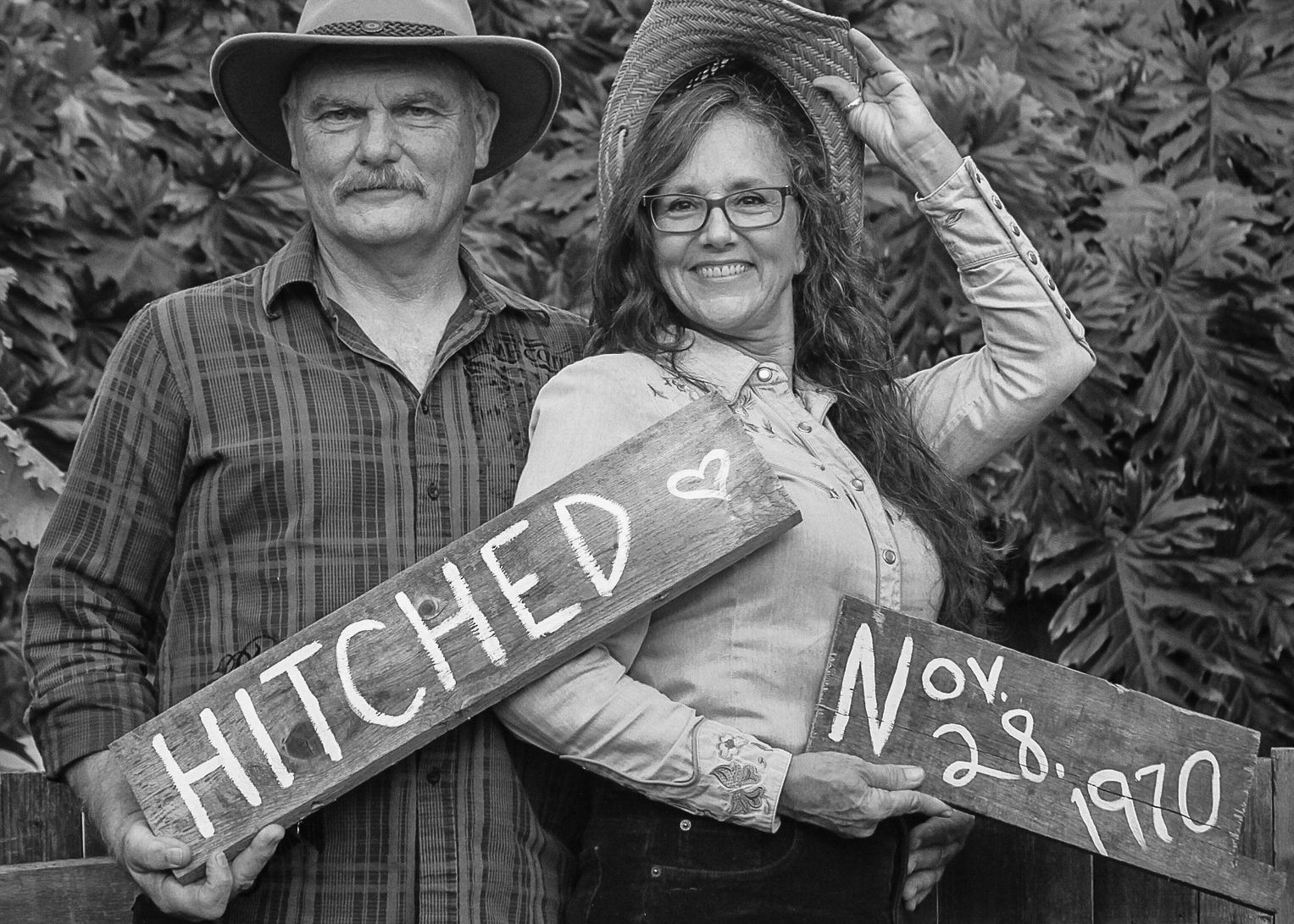 Dave Toland - Photos