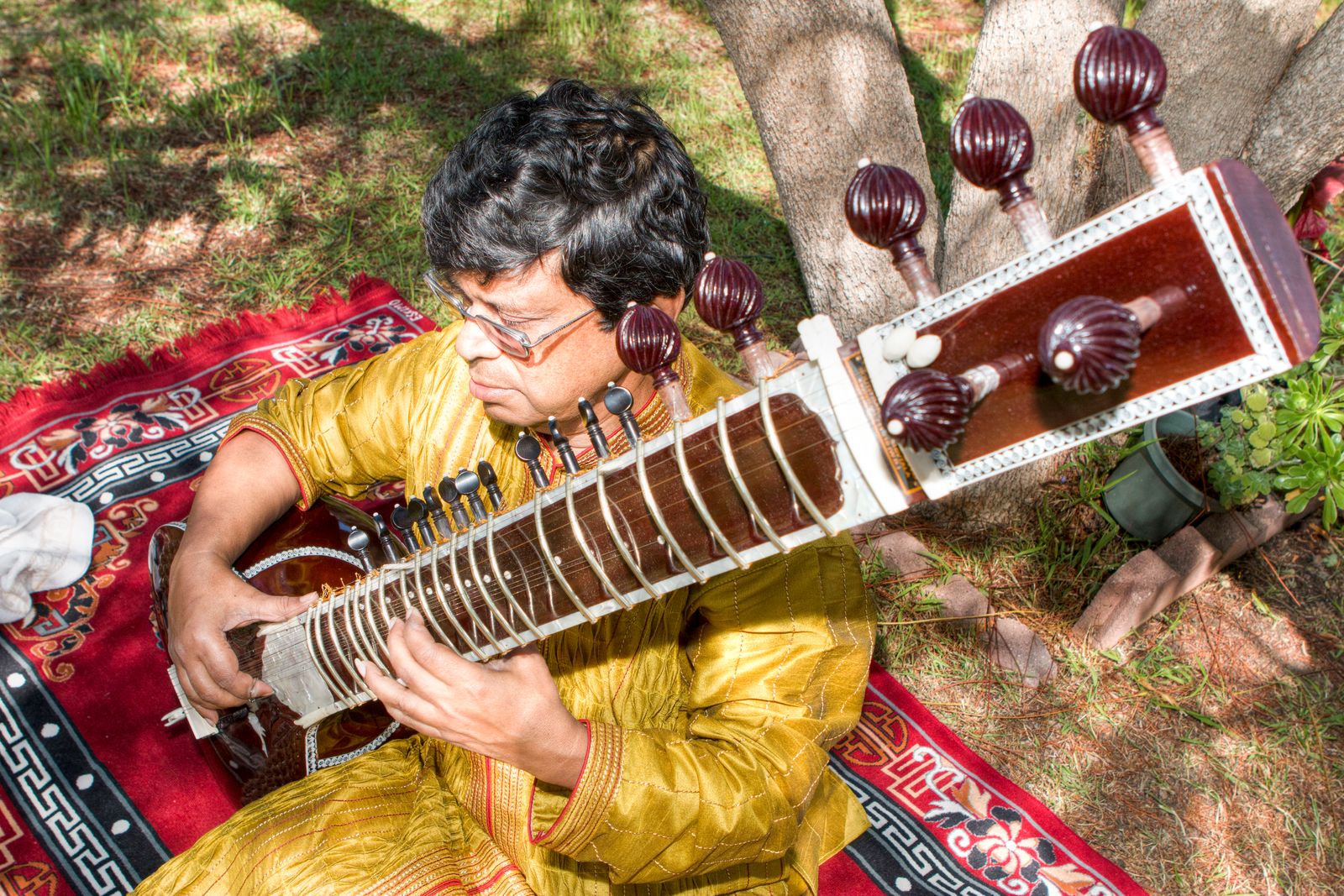Sitar Concert