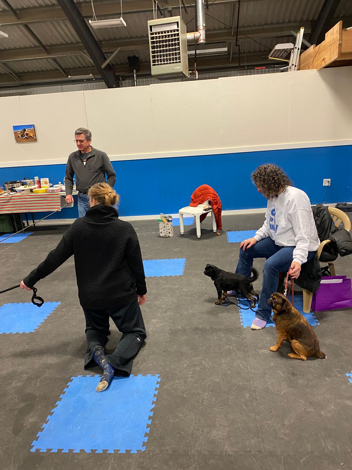 Green Meadow Mastiffs - GREEN MOUNTAIN MEADOWS K9 WELLNESS CENTER