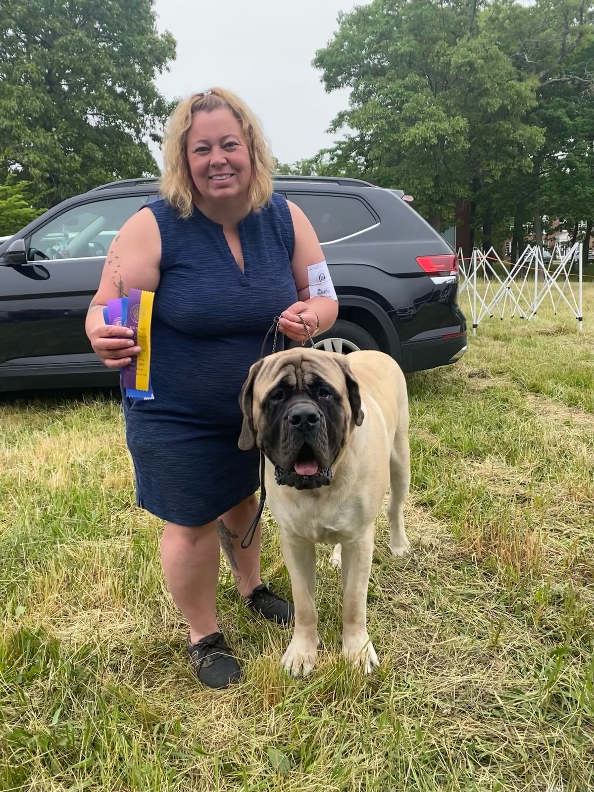 Green Meadow Mastiffs - Ricky Bobby