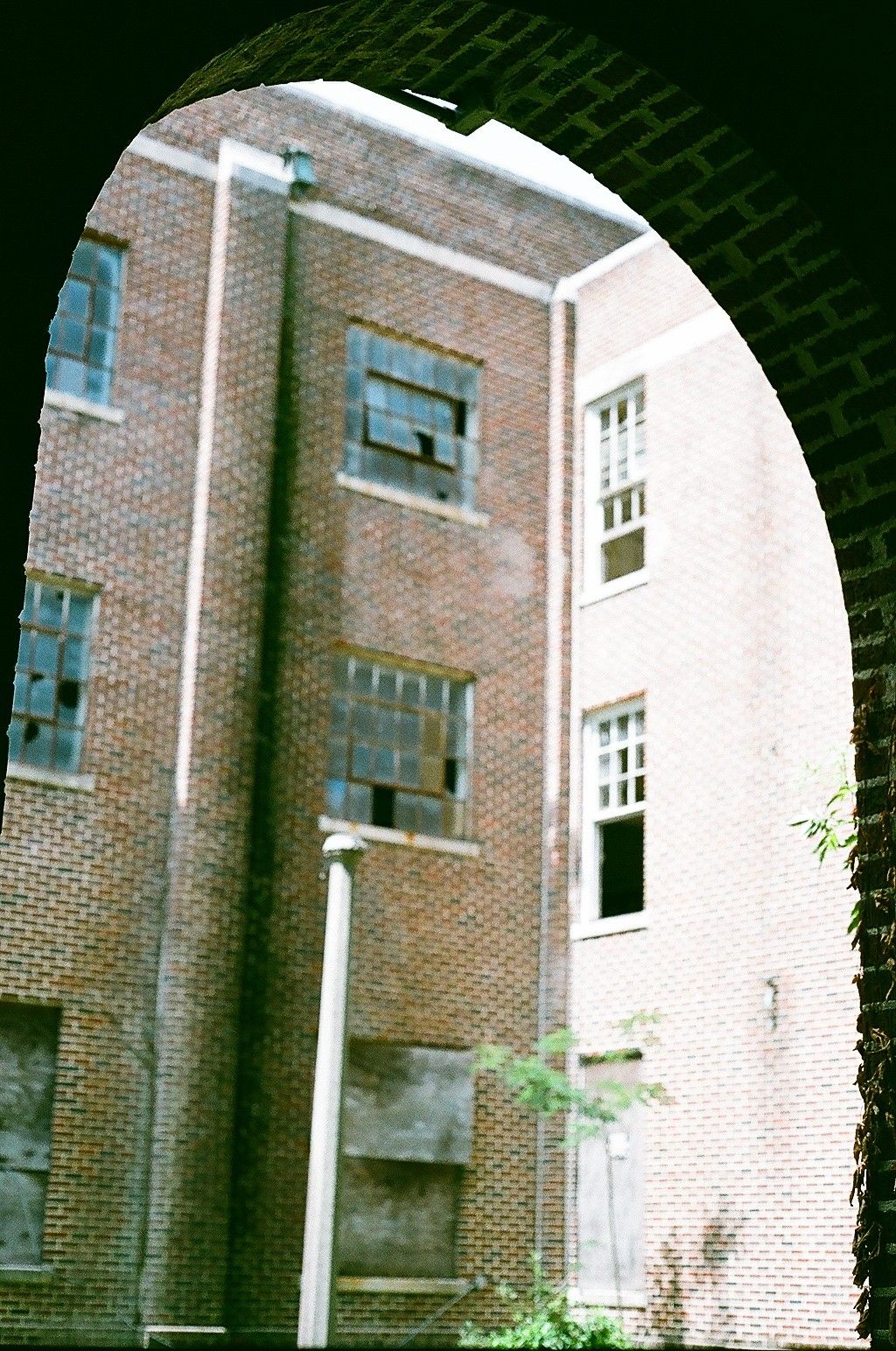 Jesse Cotton Stone - Photos