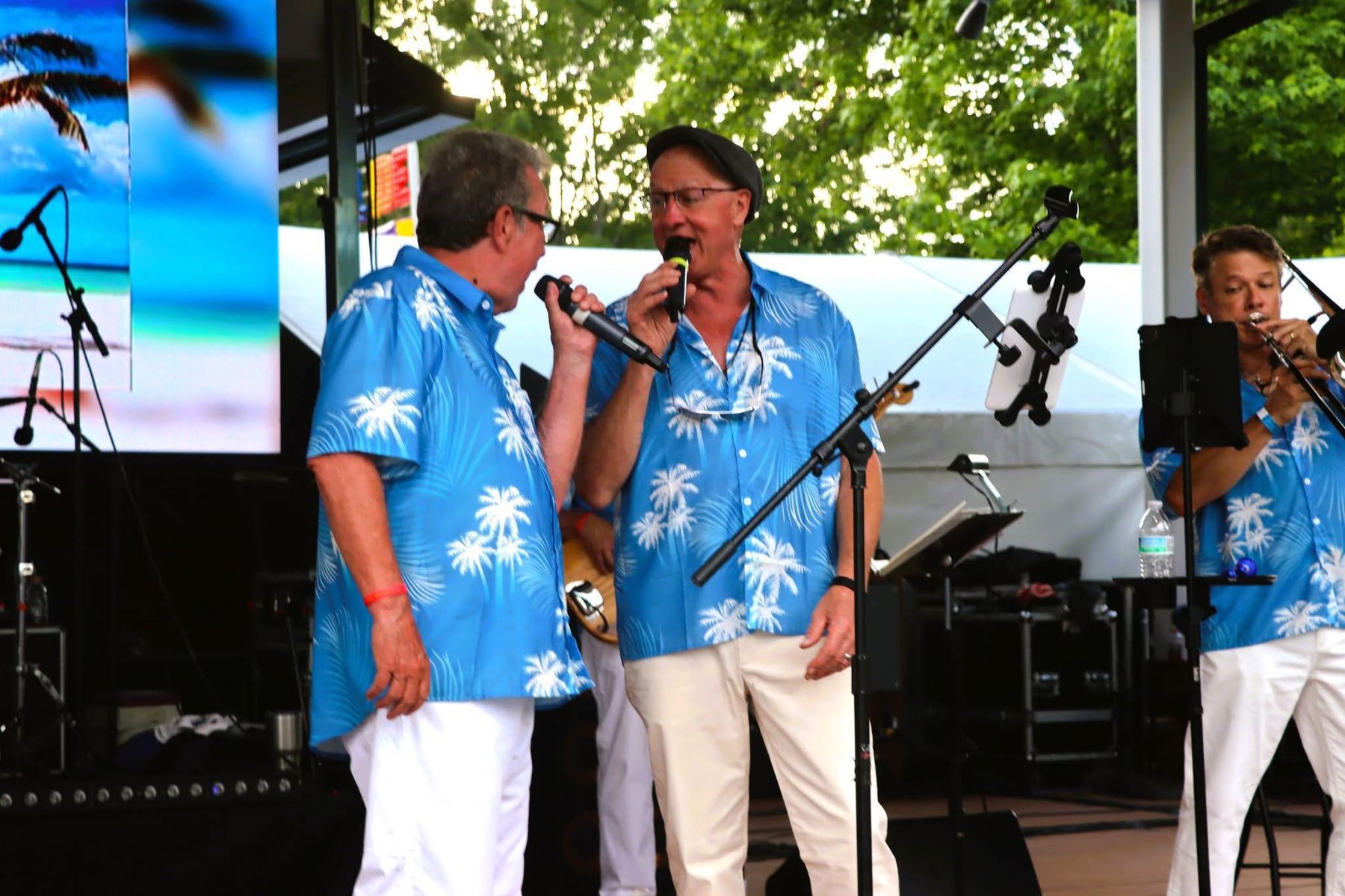 The Catalinas - Shows