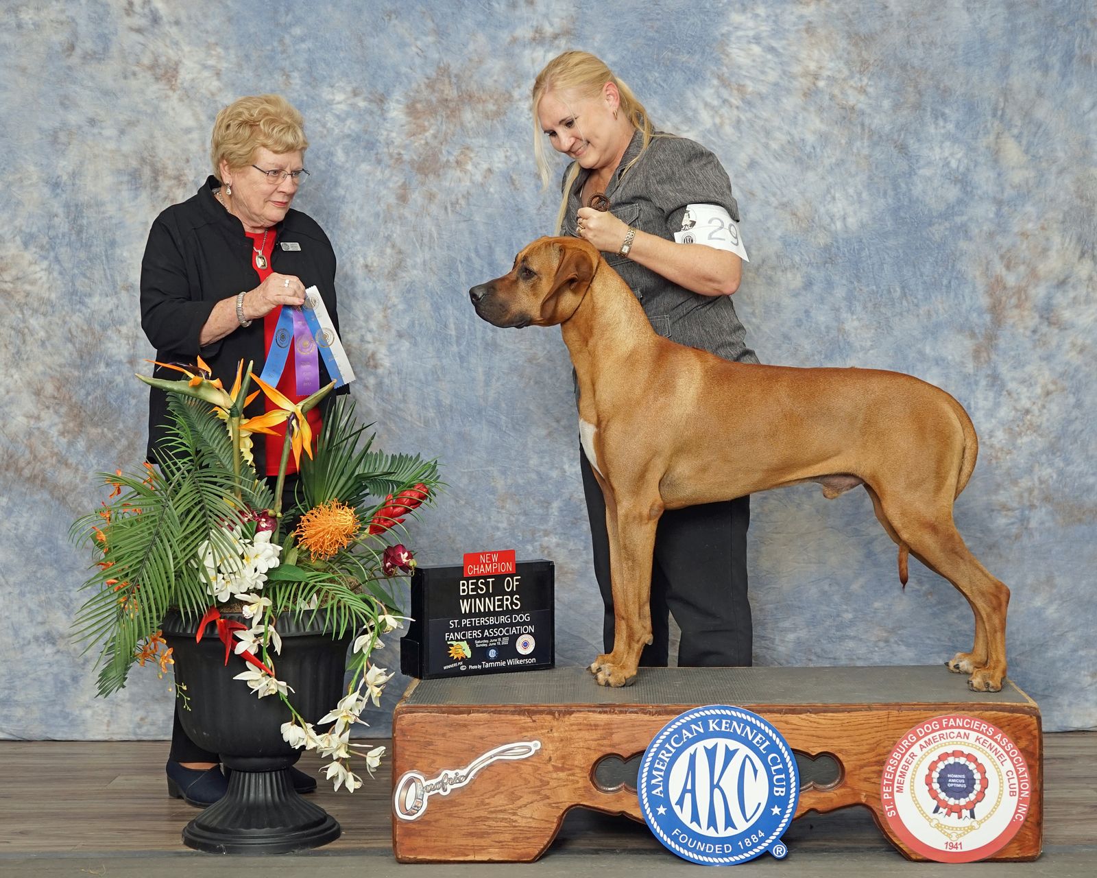 Amber Trace Rhodesian Ridgebacks - Silas