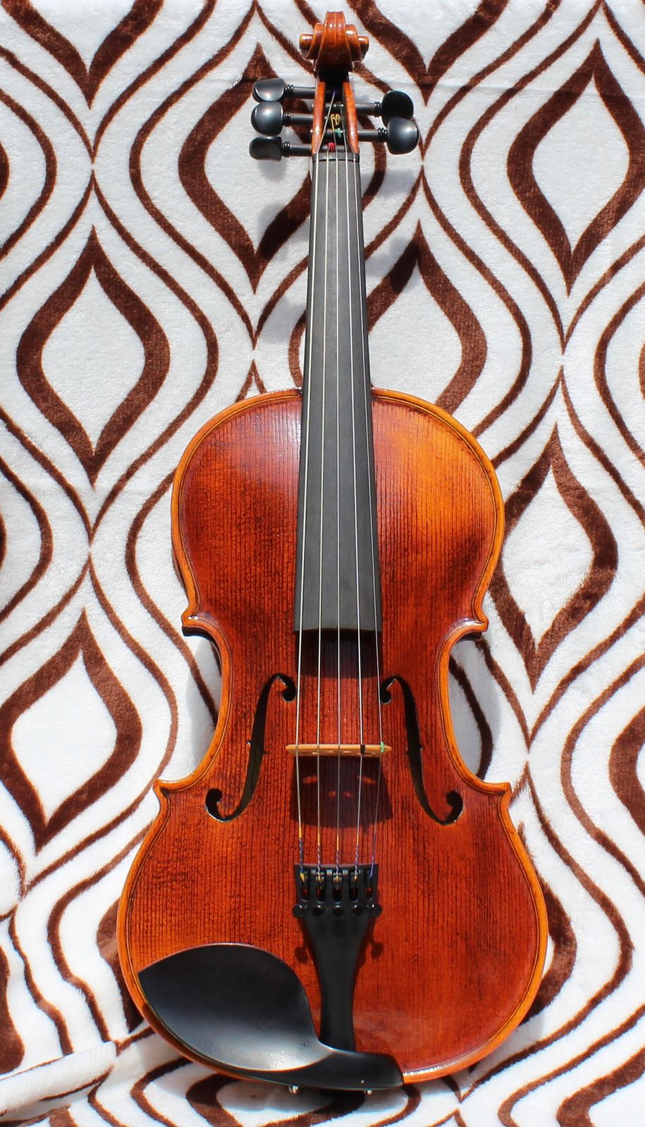 WWW.MMLARSTUDIO.COM - SilaKowski Hand Built 5 String Fiddles & Revoiced ...