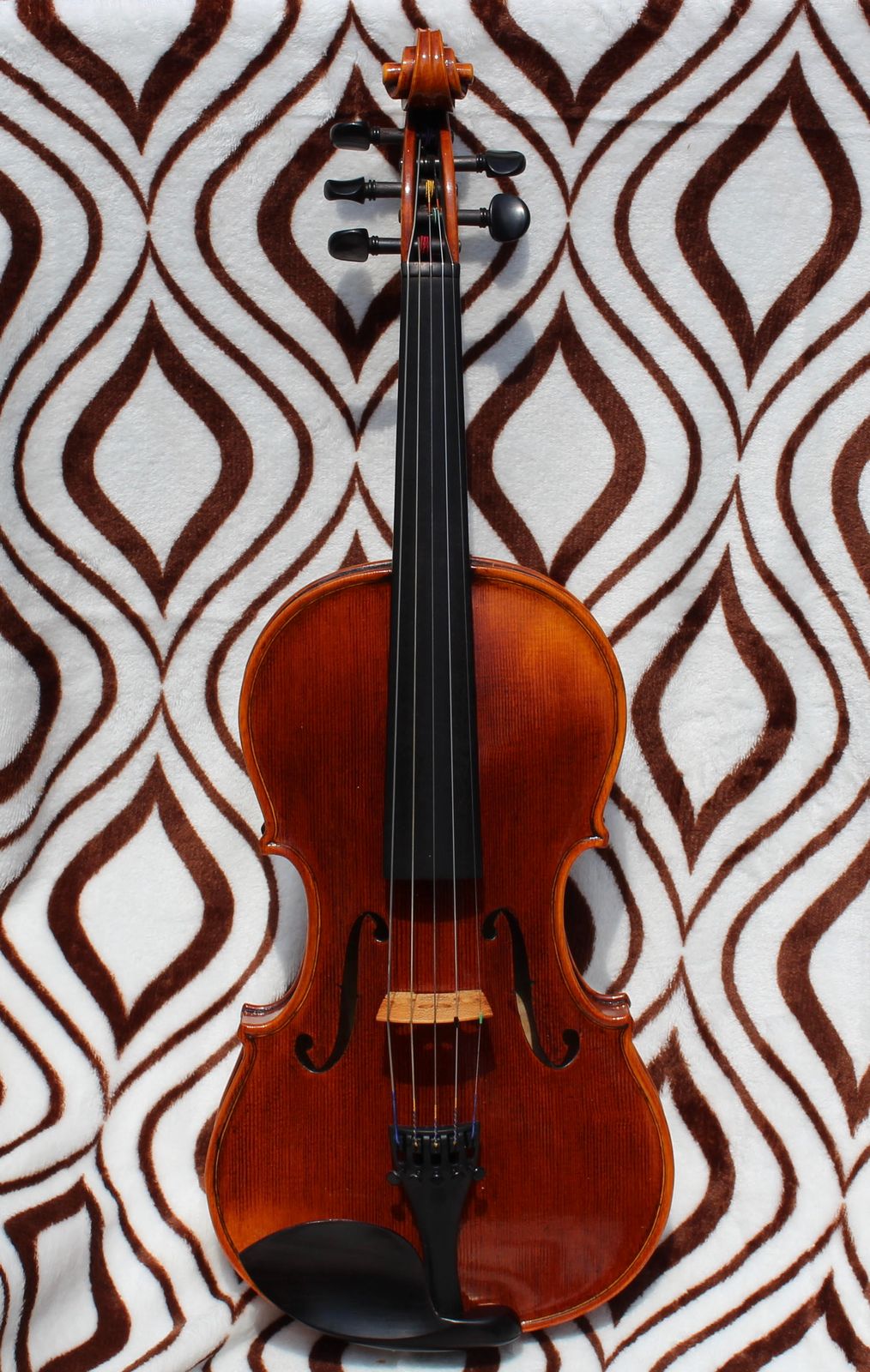 WWW.MMLARSTUDIO.COM - SilaKowski Hand Built 5 String Fiddles & Revoiced ...