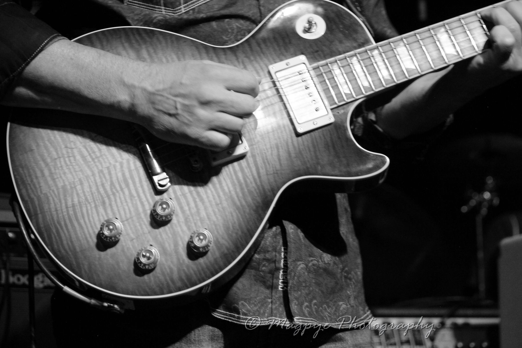 Dave Dardine Project - Bio