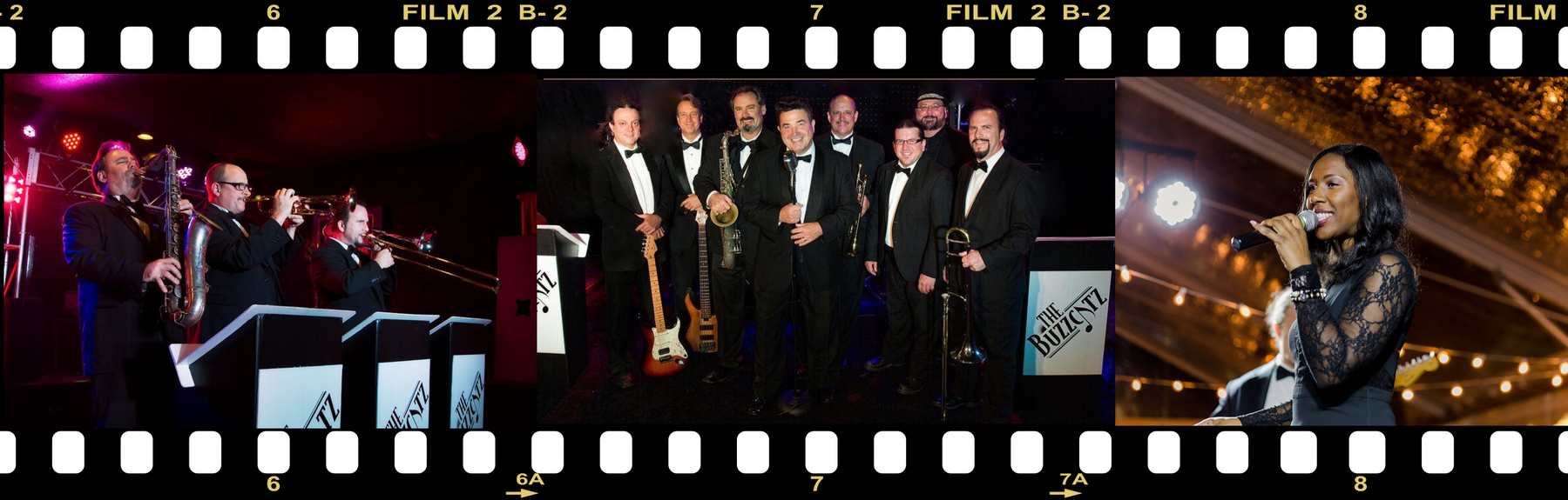 The Buzzcatz - LIVE Videos