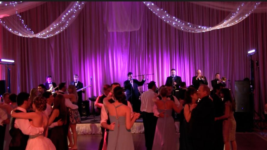 The Buzzcatz - WEDDINGS