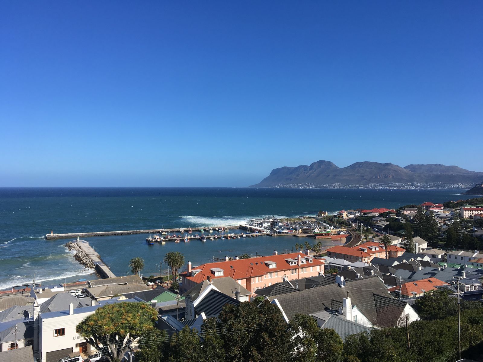 Michael Occhipinti - Photos