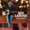 Ned LeDoux - Store