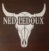 Ned LeDoux - Store