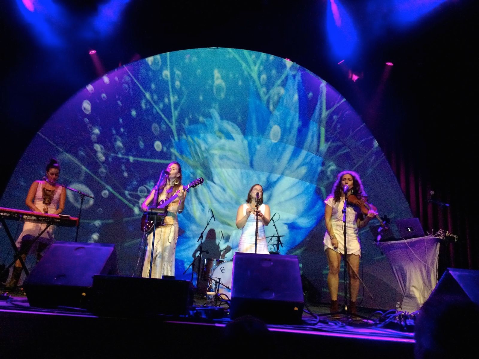 Lydia Violet - Gallery