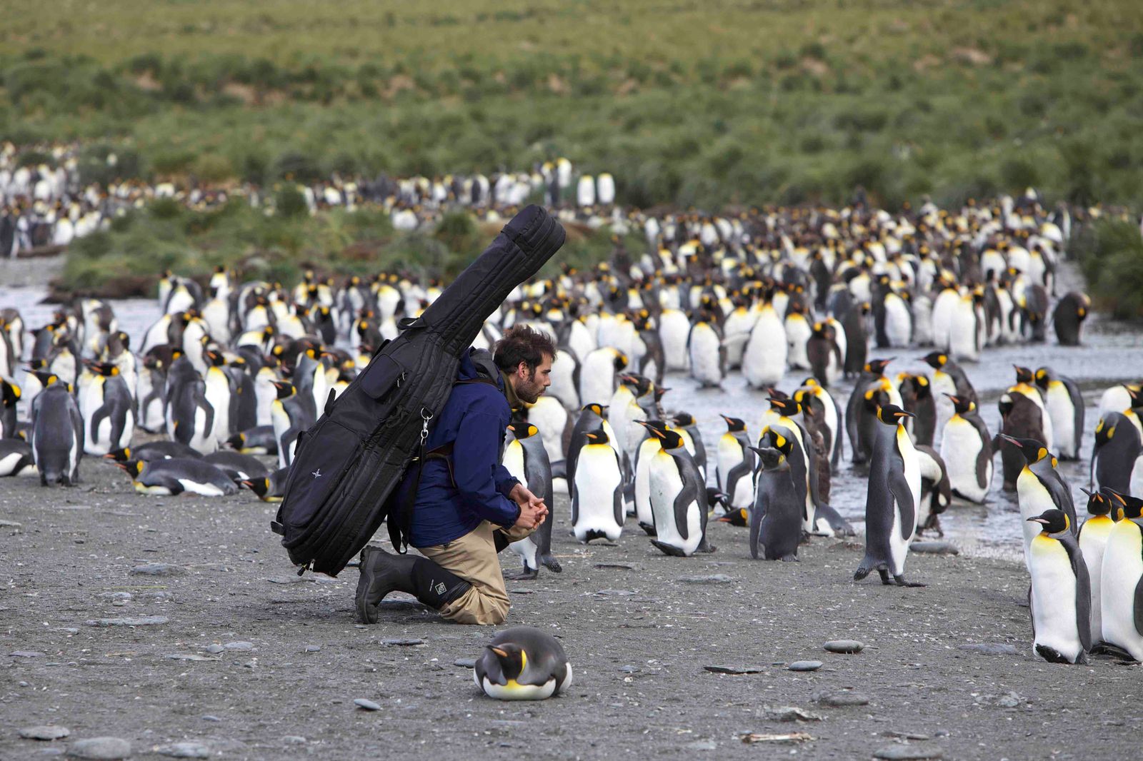 Garth Stevenson - Photos