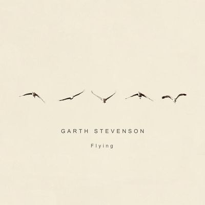 Garth Stevenson - Store - Flying