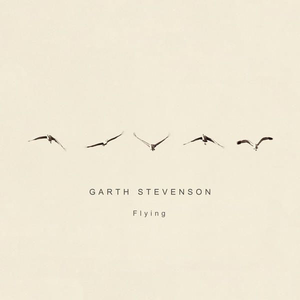 Garth Stevenson - Store - Flying