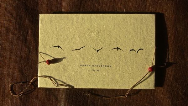 Garth Stevenson - Store - Flying