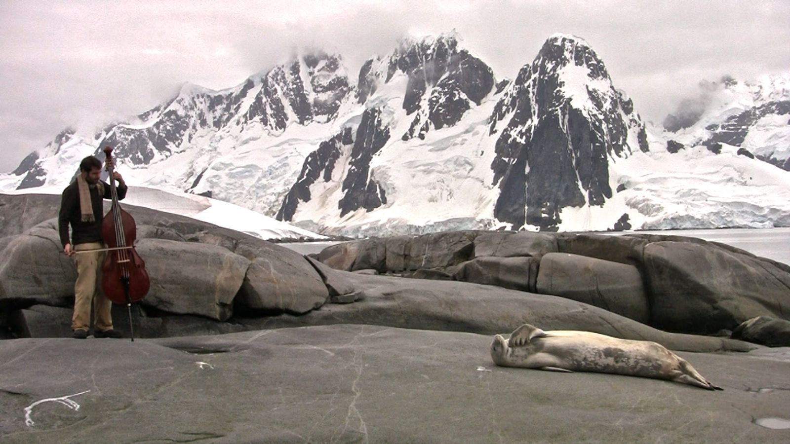 Garth Stevenson - Photos