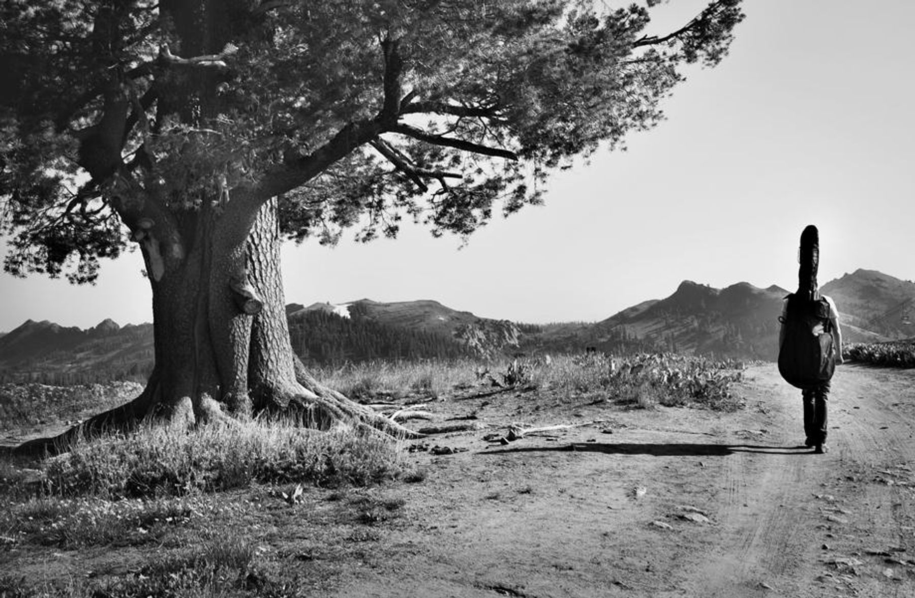 Garth Stevenson - Music