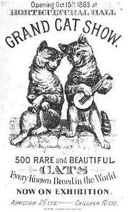 Bengal cat history - how did the Bengal cat originate