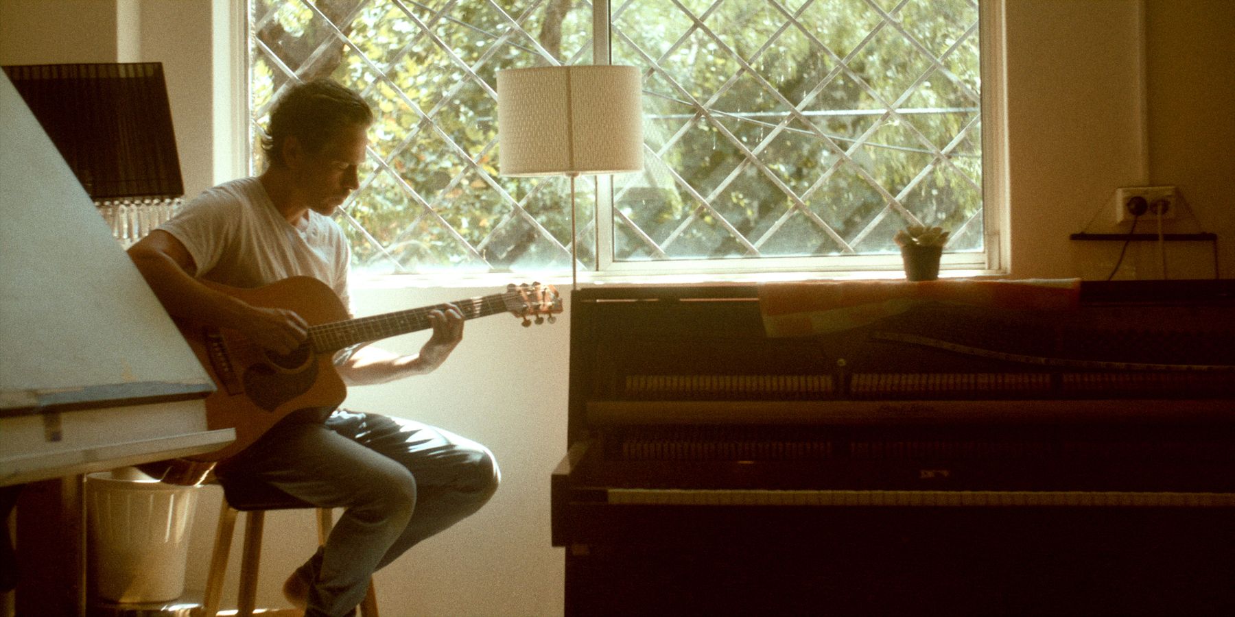 Home | Mark Wilkinson