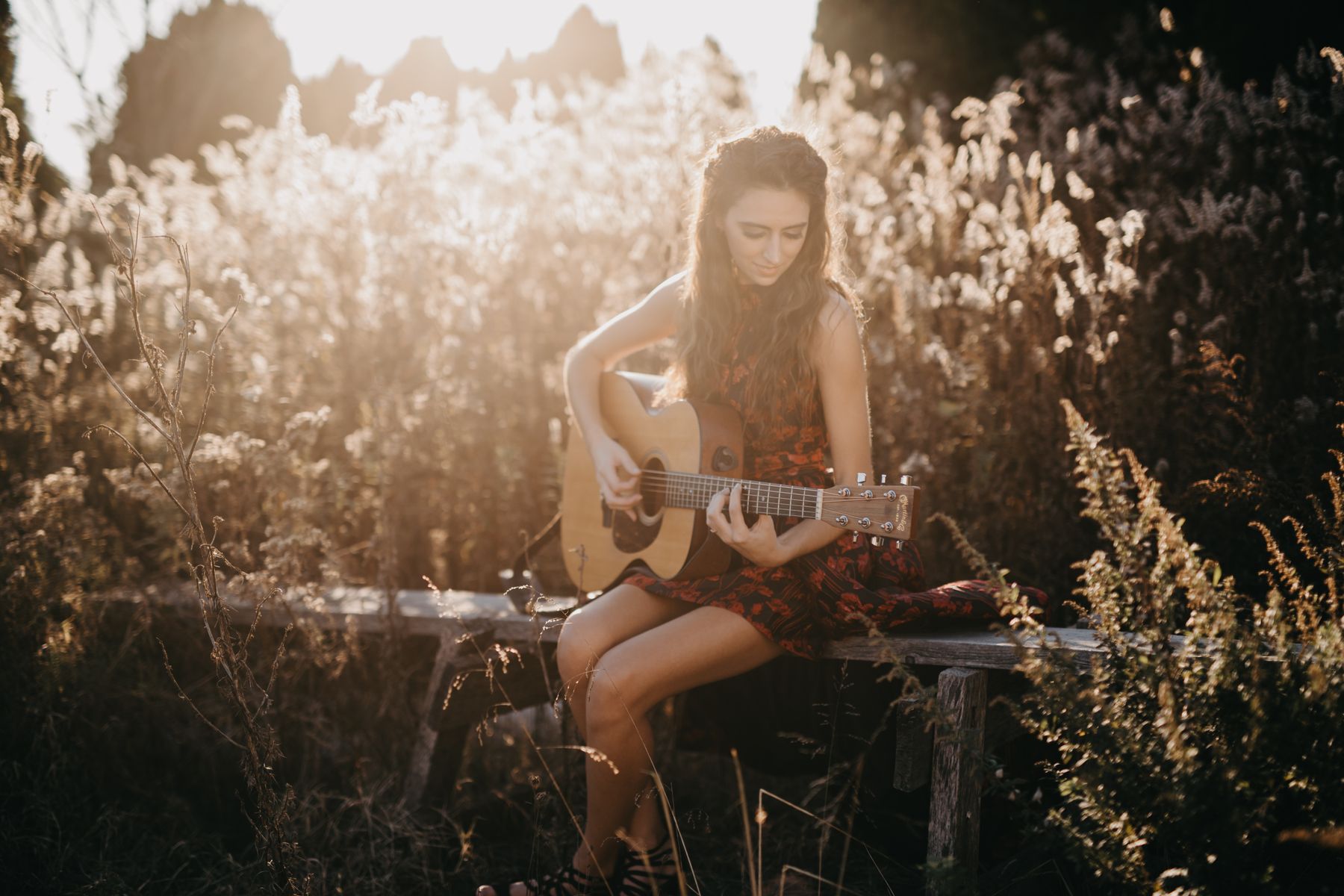 Erin Kelly - SCHEDULE