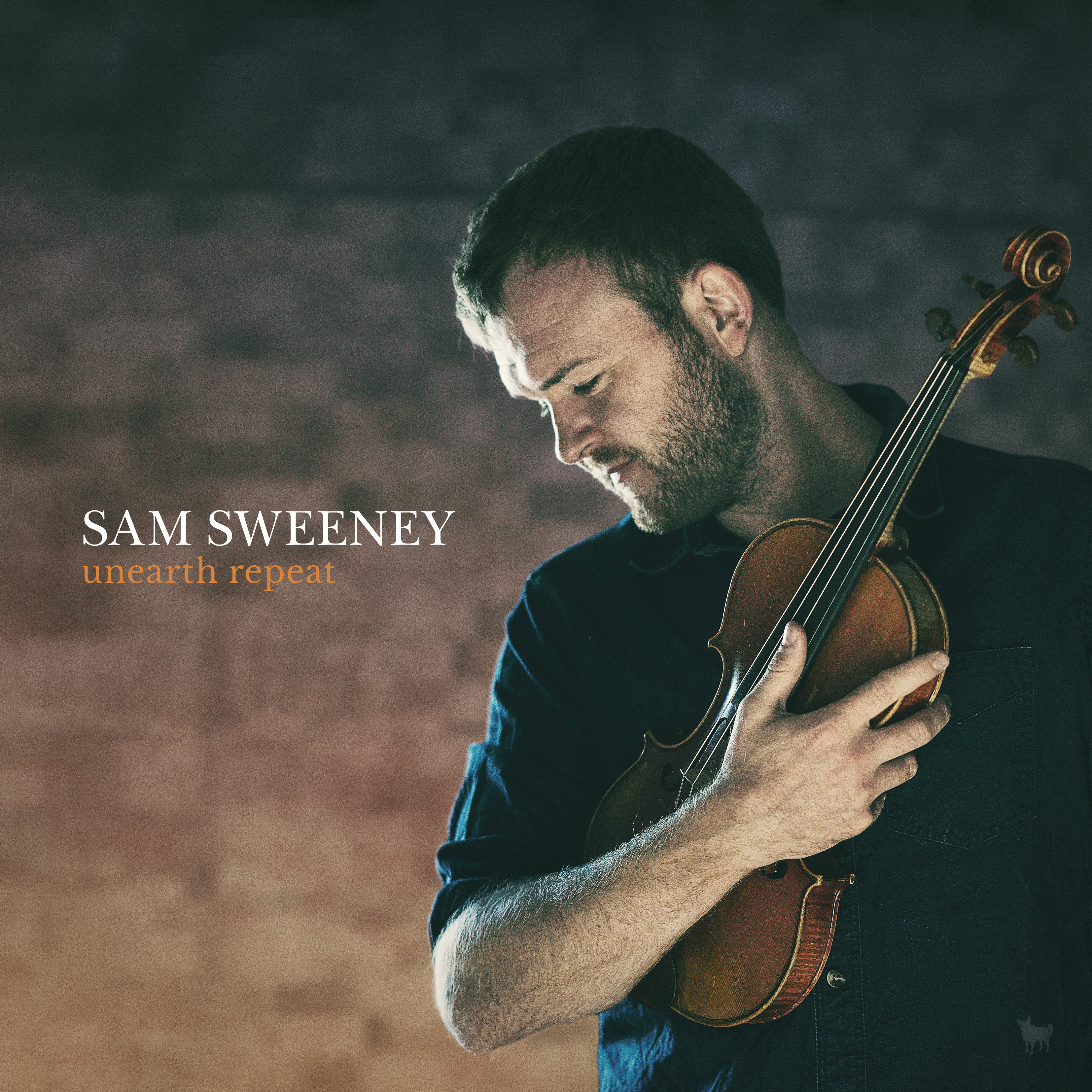 Sam Sweeney - Photos