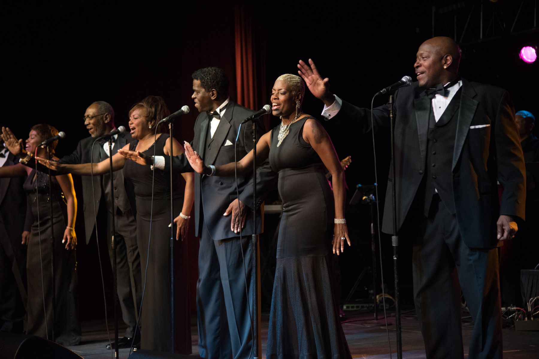 Fabulous Motown Revue - America's best Motown and variety band