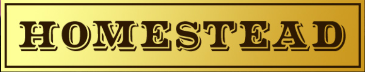 Official Website of Debra Devi