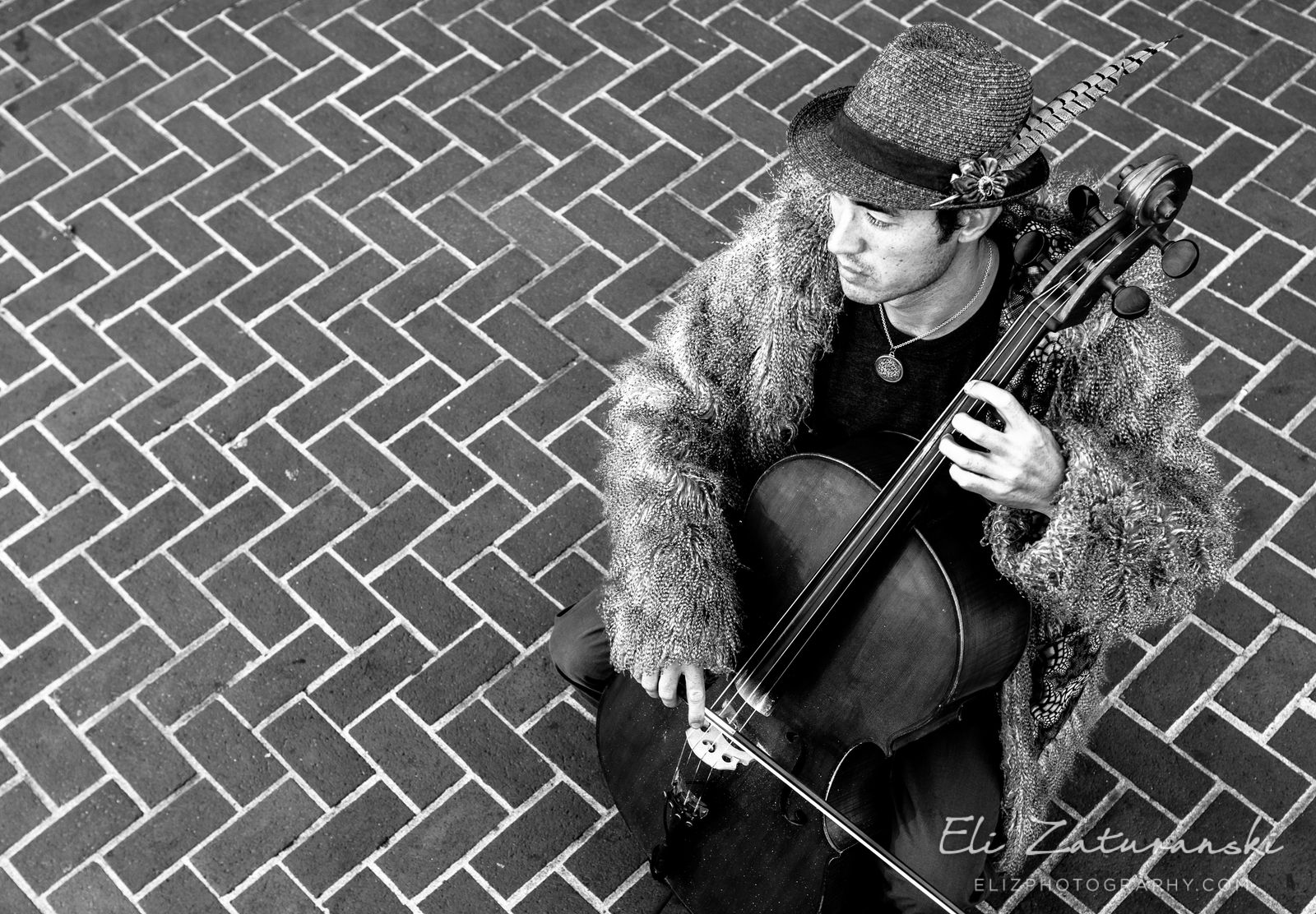 CelloJoe - Photos