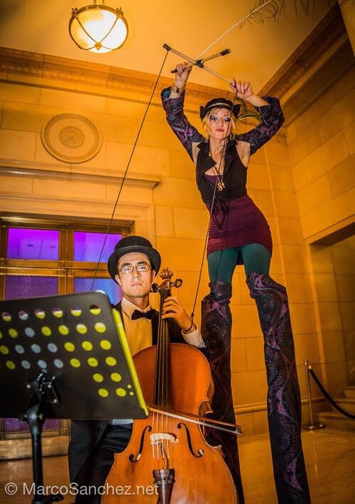 CelloJoe - Photos