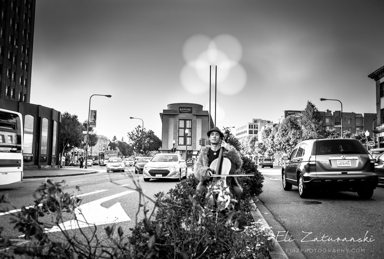 CelloJoe - Photos