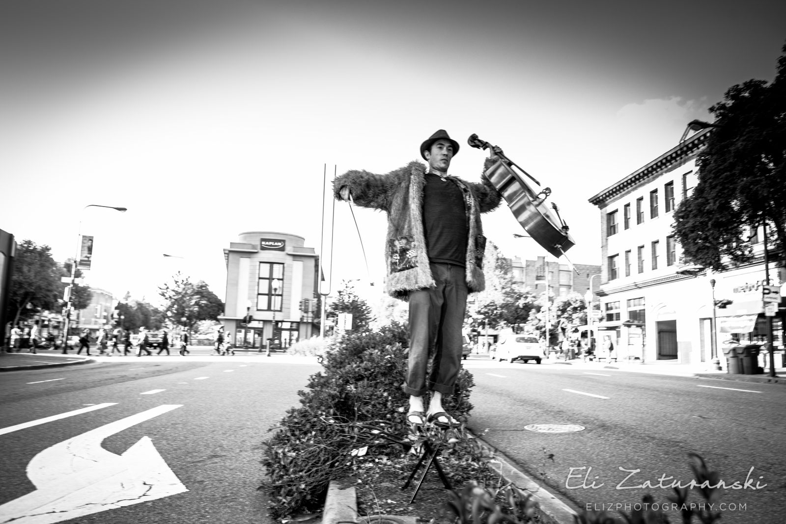 CelloJoe - Photos