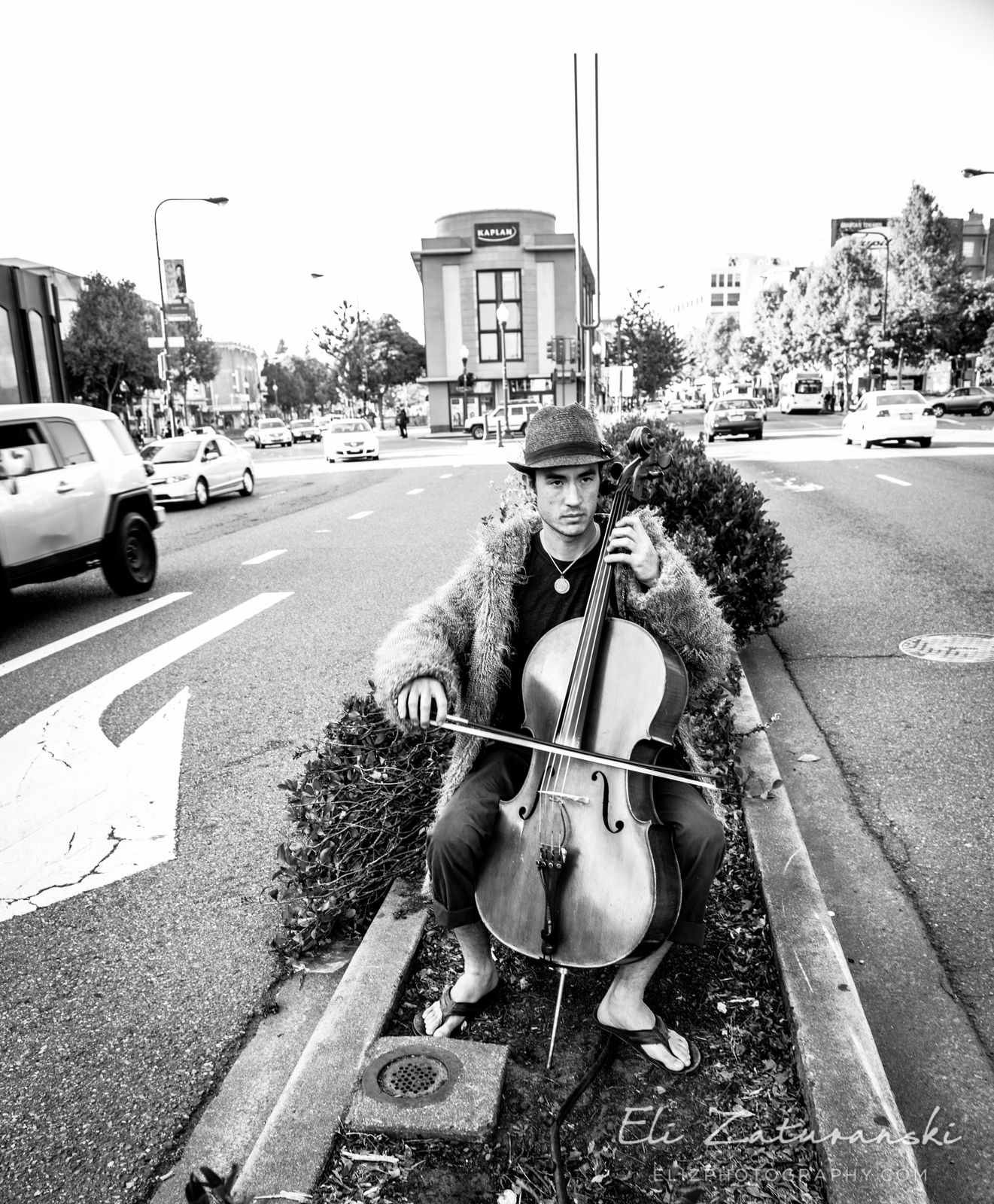 CelloJoe - Photos