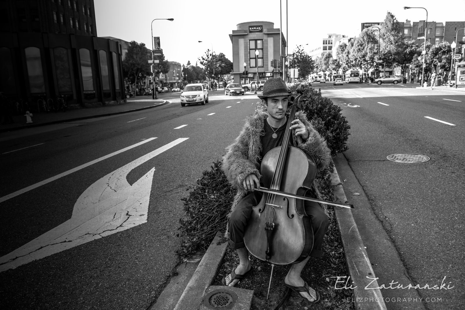 CelloJoe - Photos