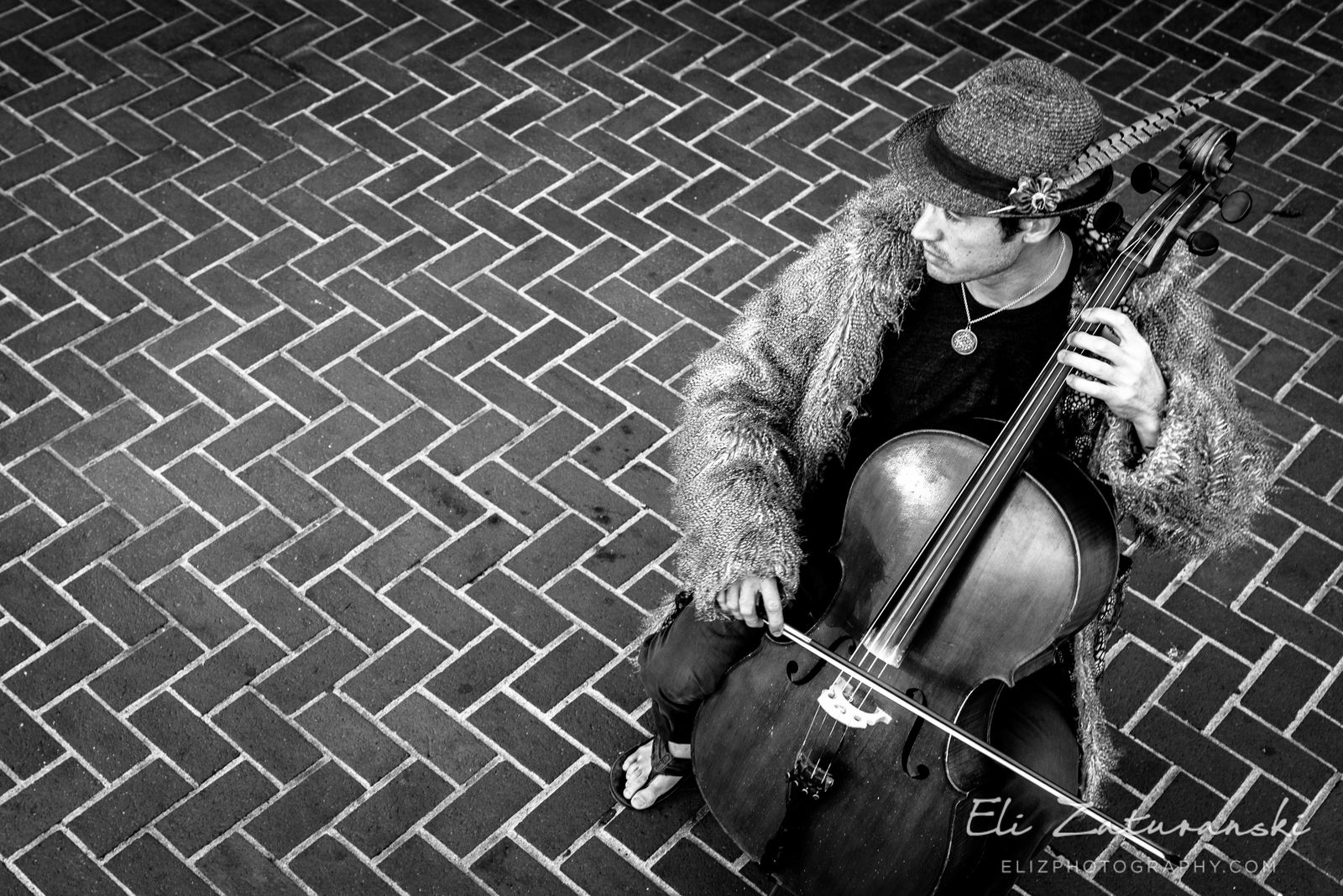 CelloJoe - Photos
