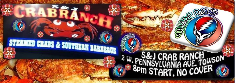 THE Wharf Rats, LIVE! - Shows