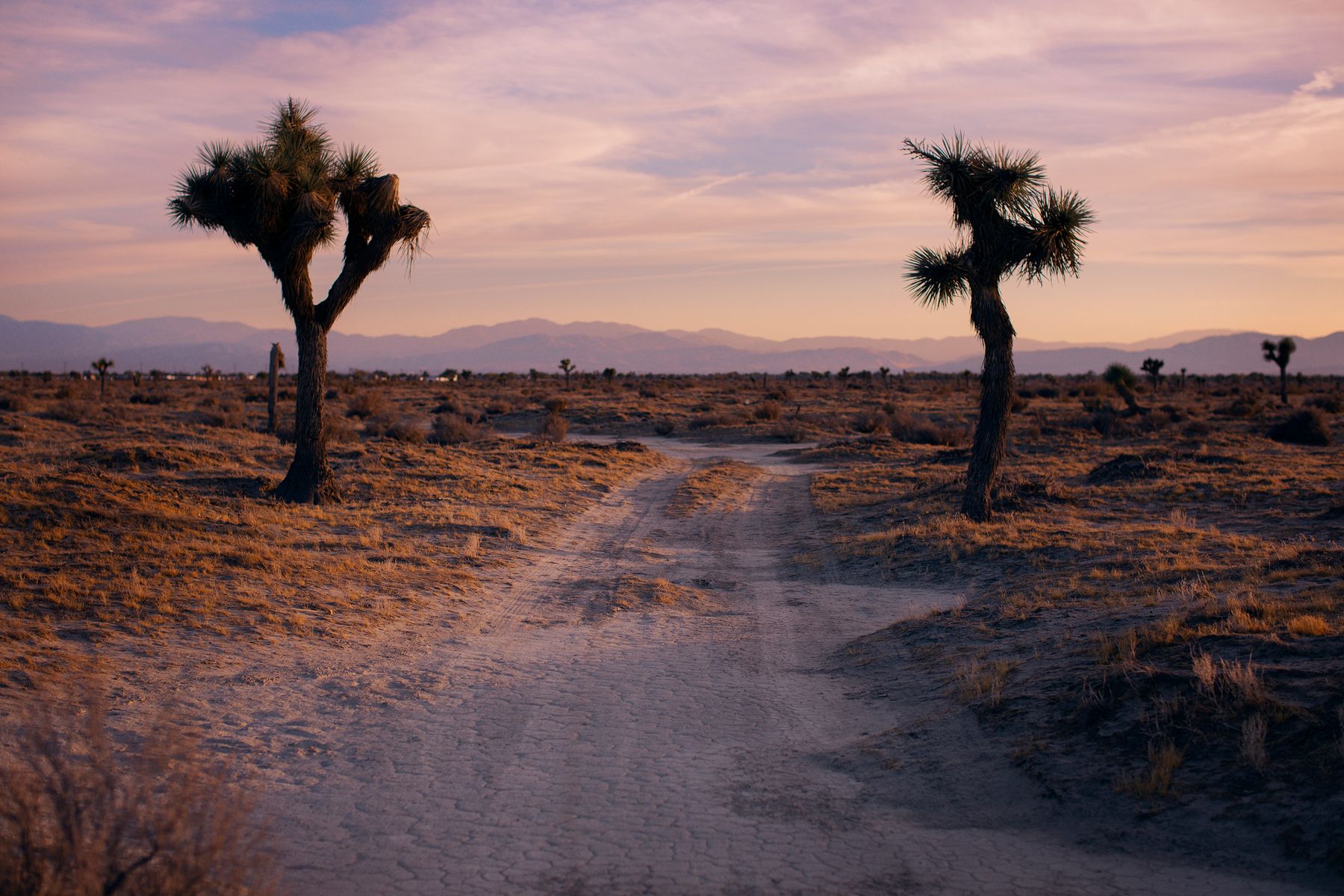 Sandra Macat Band - Bio