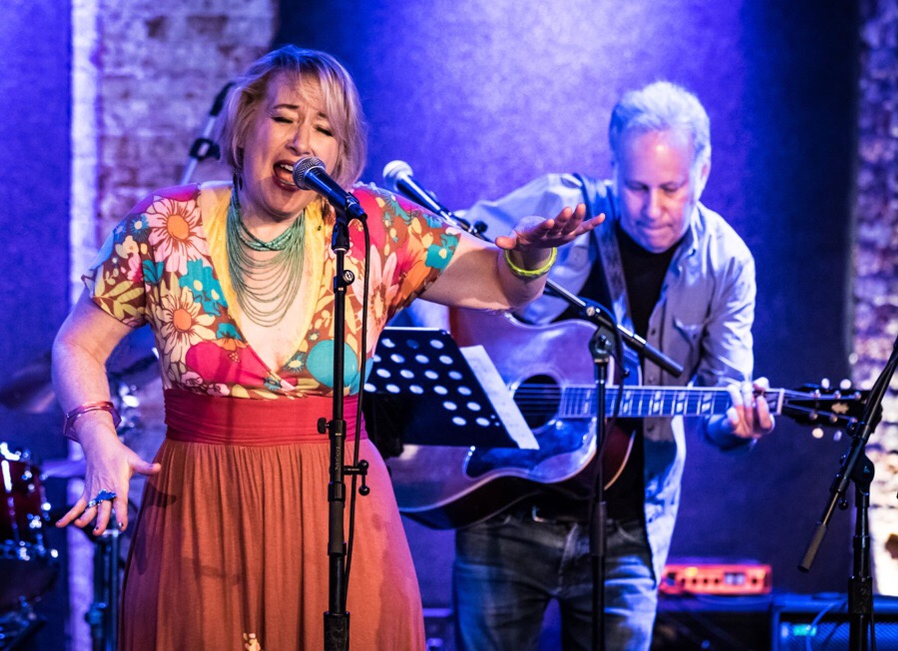 Stoned Soul Picnic: The Laura Nyro Project - Press Kit