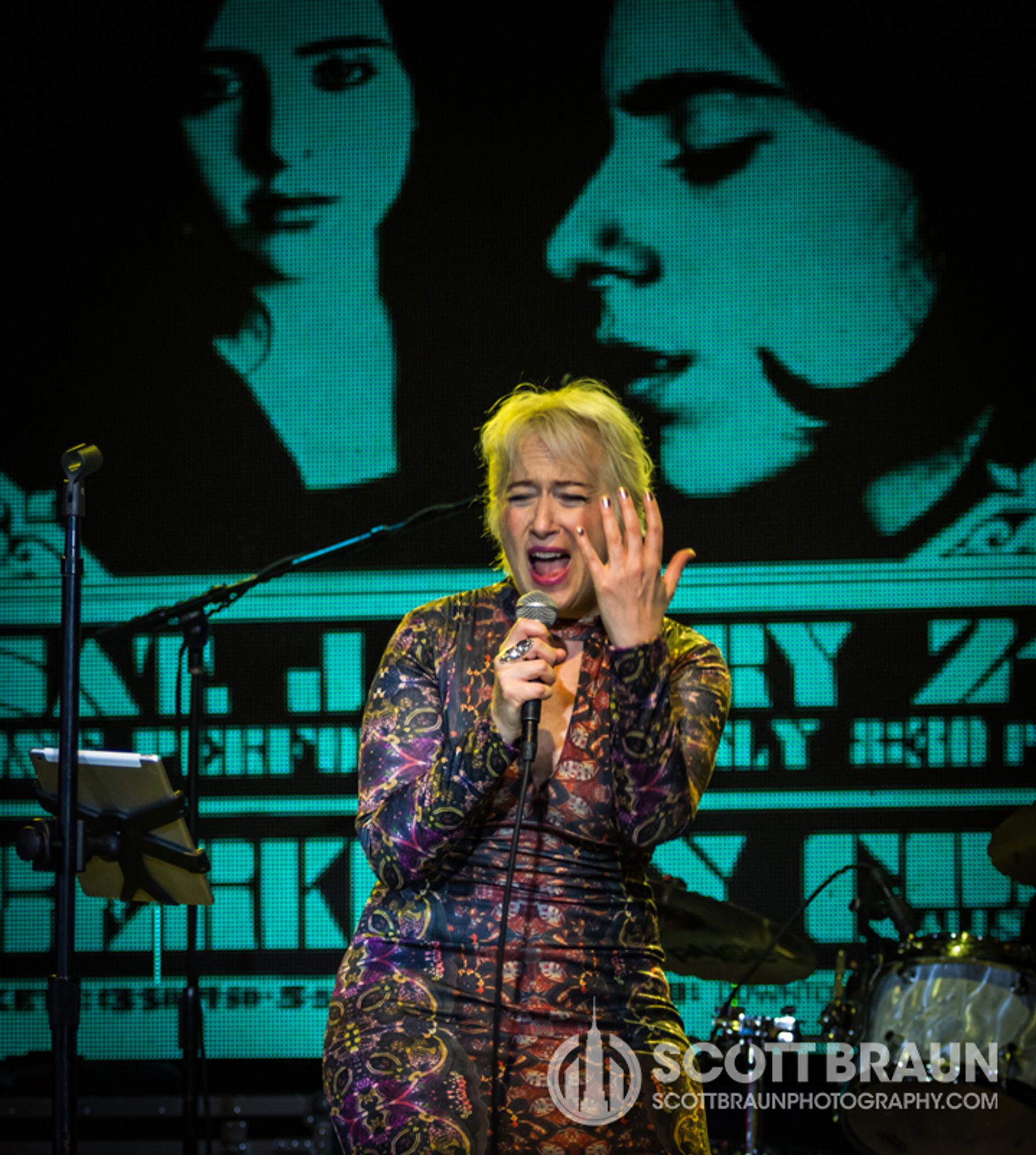Stoned Soul Picnic: The Laura Nyro Project - Press Kit