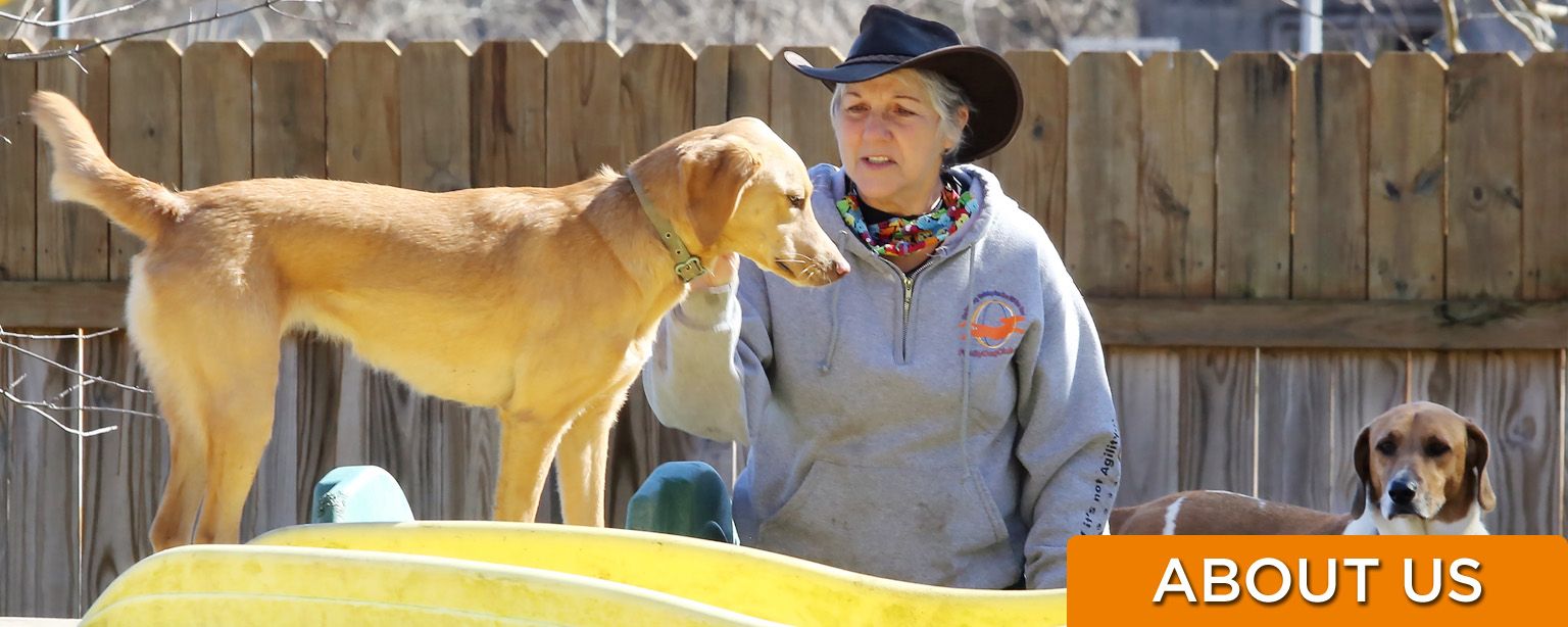 Family Dog Club - About Us