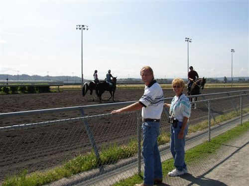 Little King Ranch - Stallions